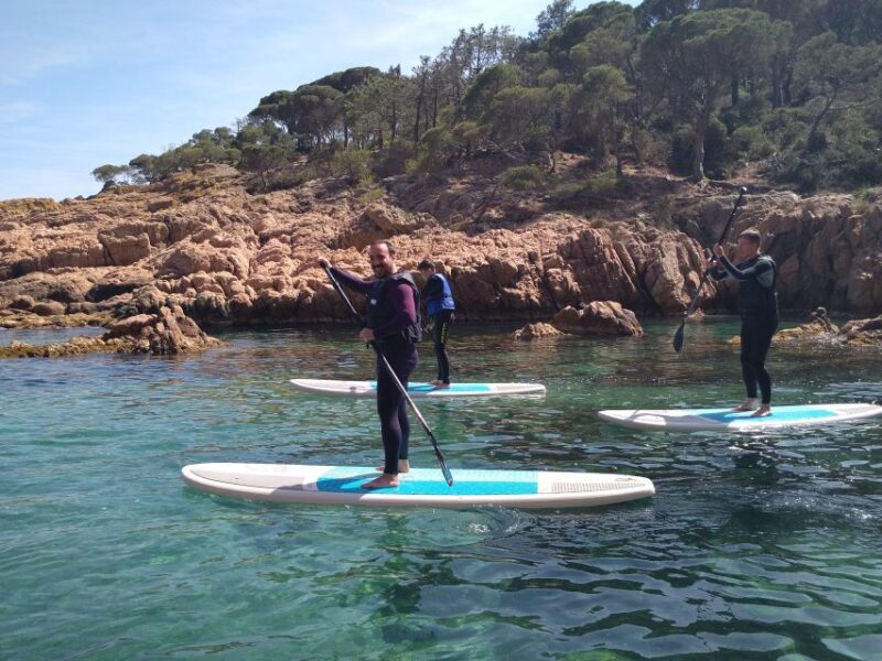 Costa Brava: Stand-Up Paddleboarding Lesson and Tour - Authentic Experiences That Stand Out