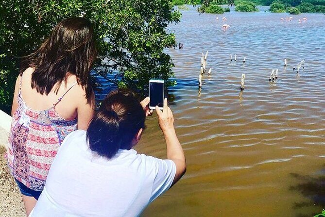 Costa Esmeralda 5 en 1 - What to Expect from the Costa Esmeralda 5 en 1