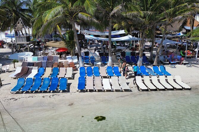 Costa Maya Beach Breack Food & Drinks - Detailed Breakdown of the Tour