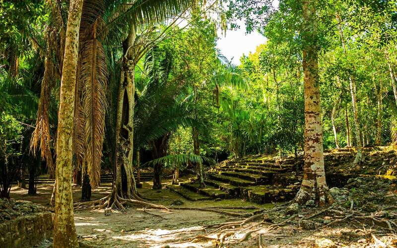 Costa Maya: Chacchoben Mayan Ruins Private Cruise Excursion - Final Thoughts