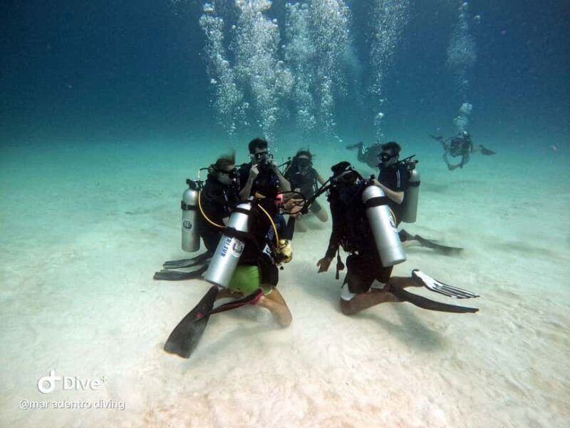 Costa Maya: Discover Scuba Diving Reef Experience - Who Should Consider This Tour?