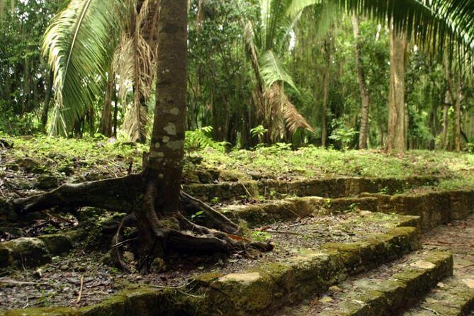 Costa Maya Shore Excursion: Chacchoben Day Trip - Discovering Chacchoben: What to Expect