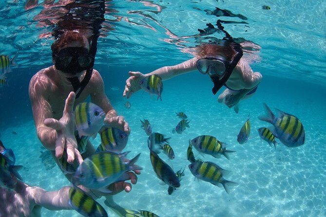 Costa Maya Snorkel Tour - The Itinerary and Experience Breakdown