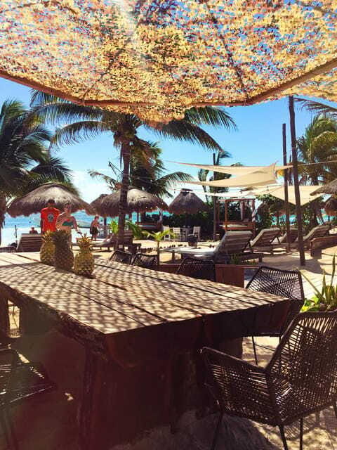 Costa Maya: Yaya Beach Break Open Bar & Optional VIP Cabana - Food options and dietary considerations