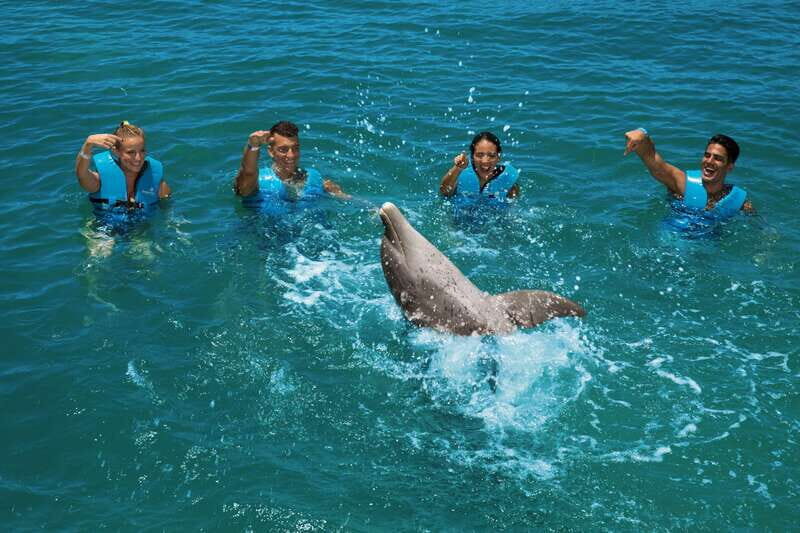 Costa Mujeres: Swim with Dolphins - An In-Depth Look at the Costa Mujeres Dolphin Experience