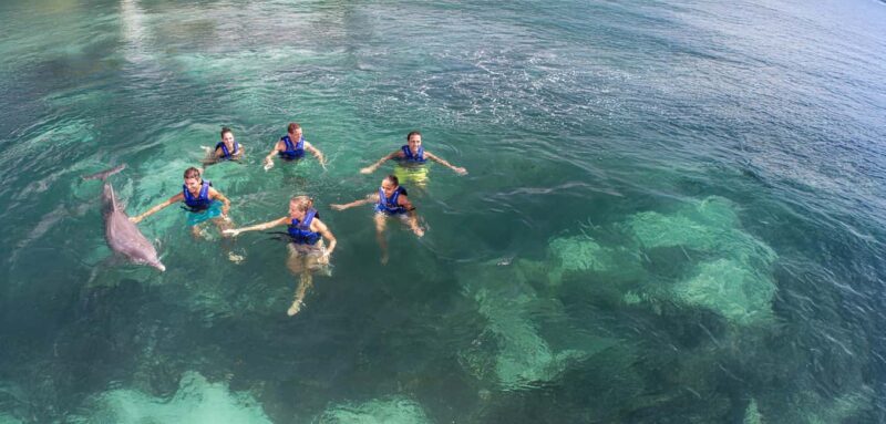 Costa Mujeres: Swim with Dolphins - FAQs