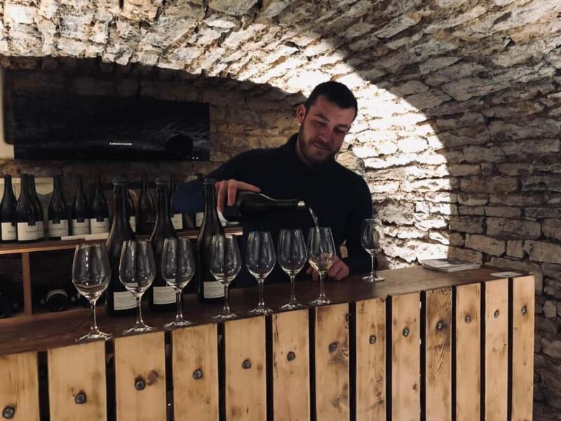 Côte de Nuits: Excursion in the heart of the vineyards - Key Points