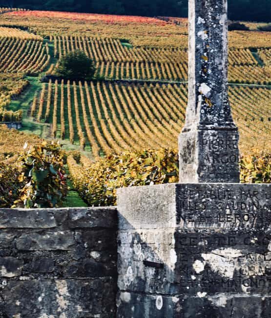 Côte de Nuits: Excursion in the heart of the vineyards - A Practical Look at the Tour Experience