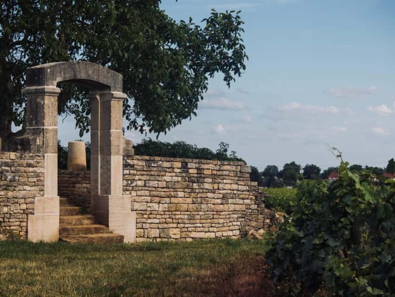 Côte de Nuits: Excursion in the heart of the vineyards - How This Tour Stands Out