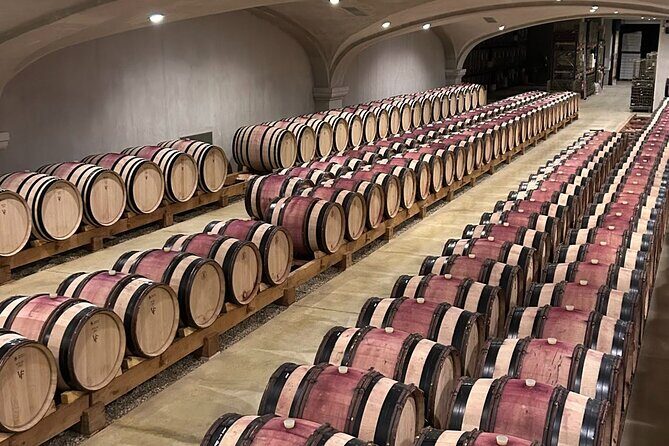 Côte Rôtie Private tour - Authentic Insights from Reviewers