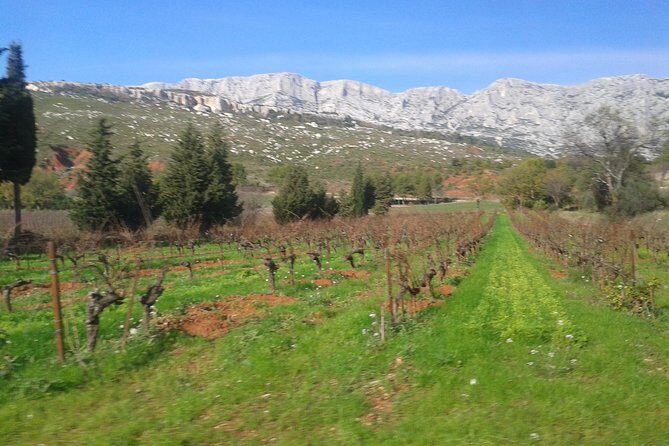 Cotes de Provence Wine Tour from Aix-en-Provence - Key Points