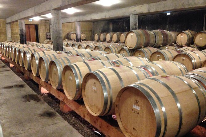 Cotes du Rhone Wine Tour (9:00 am to 5:15 pm) - Small Group Tour from Lyon - Frequently Asked Questions