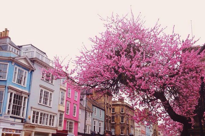 Cotswolds Villages and Oxford Full Day Tour from London - Final Thoughts: Who Is This Tour For?