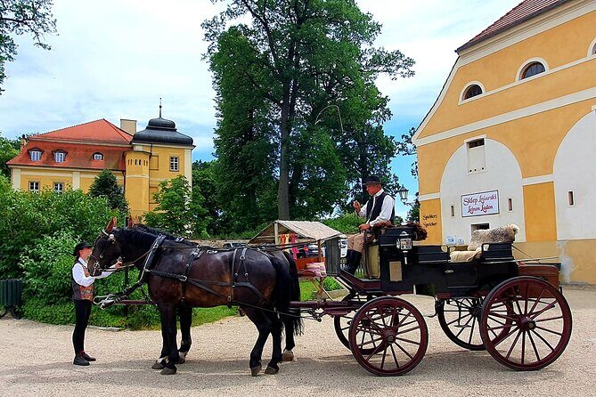 Country and Castle Tours by Carriage - Key Points