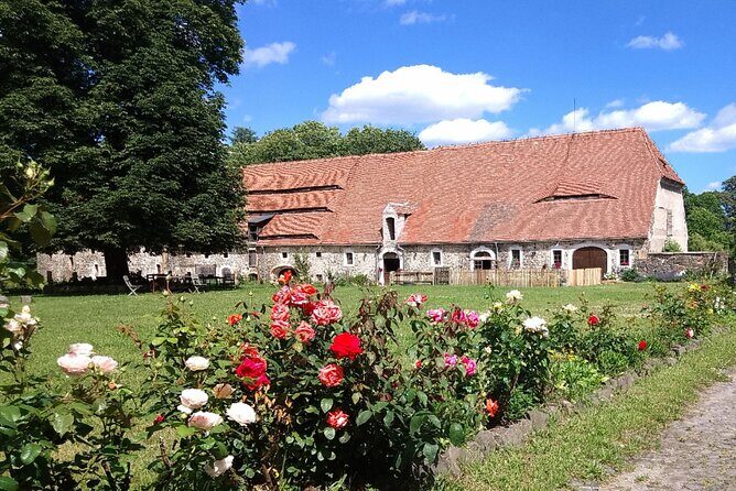 Country and Castle Tours by Carriage - The Experience in Detail