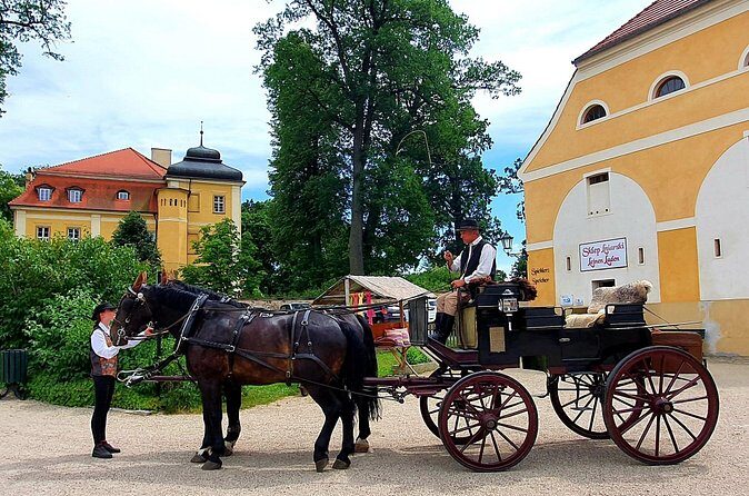 Country and Castle Tours by Carriage - Authenticity and Review Insights