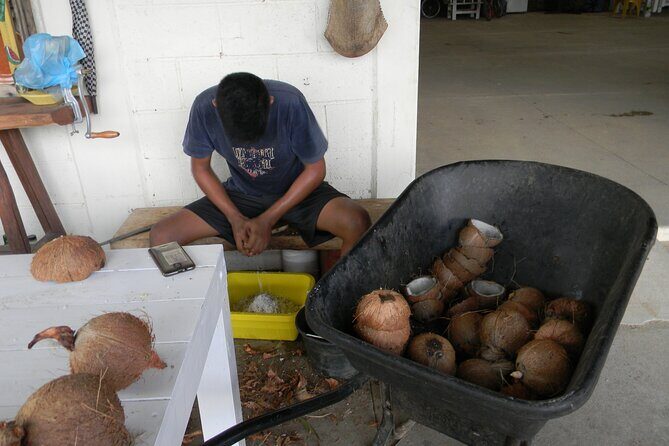 Country Side tour - Who Would Love This Tour?