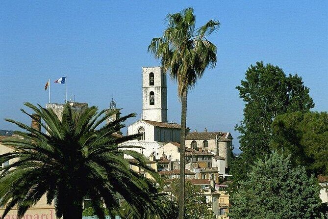 Countryside and Wine Tasting Full-day tour from Cannes - Pricing and Value
