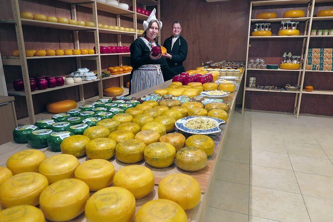 Countryside of Amsterdam Private tour - The Authentic Experience Review