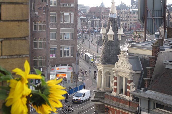 Countryside of Amsterdam Private tour - The Sum Up: Who Will Love This Tour?