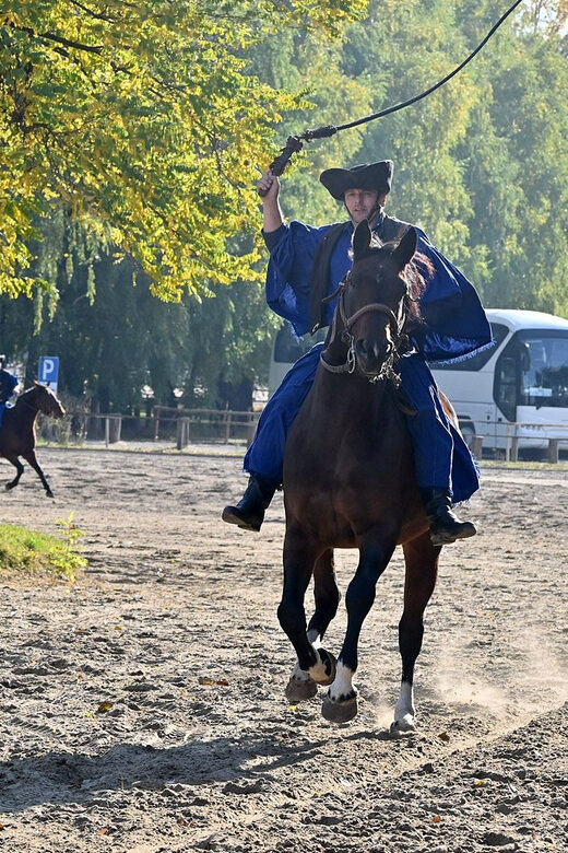 Countryside ranch, horse show & lunch - Hands-On Ranch Tour and Carriage Ride