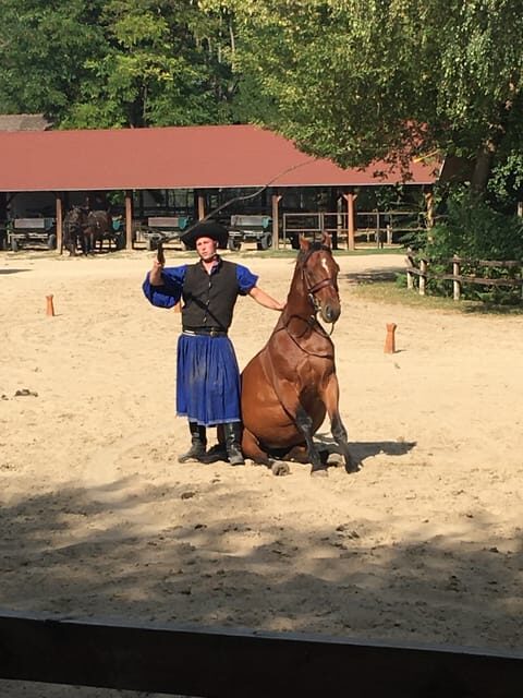 Countryside ranch, horse show & lunch - Who Should Consider This Tour?