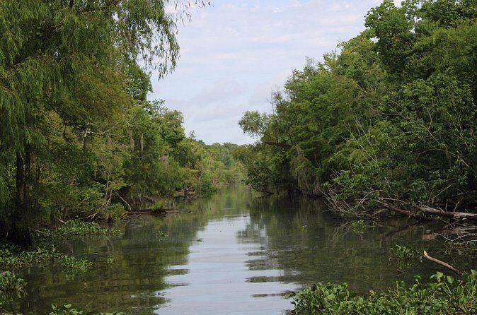 Covered Boat Swamp Tour with Transportation from New Orleans - Final Summary