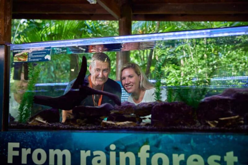 Cow Bay: Daintree Discovery Centre Entry Ticket - Key Points