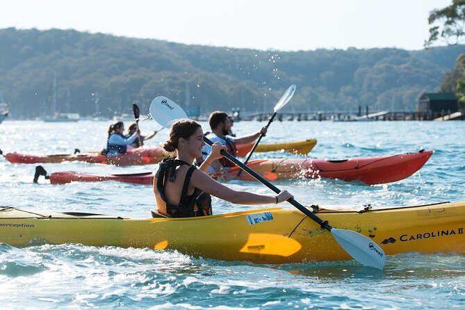 Cowan Creek Lunch paddle with Aboriginal rock art - Authentic Feedback from Previous Paddlers