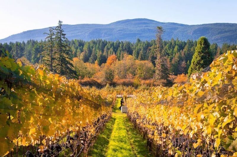 Cowichan Valley Premium Wine Tour - FAQ