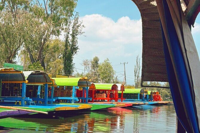 Coyoacán and Xochimilco Private Tour - What Reviewers Share