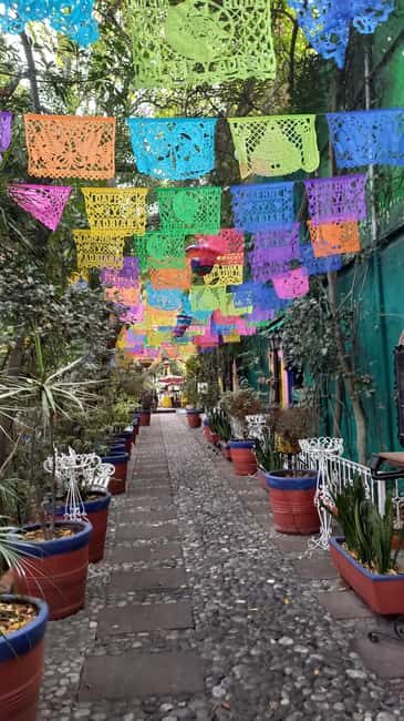 Coyoacan, history and life in a magical neighborhood - Key Points