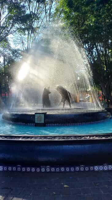 Coyoacan, history and life in a magical neighborhood - Practical Tips for Travelers