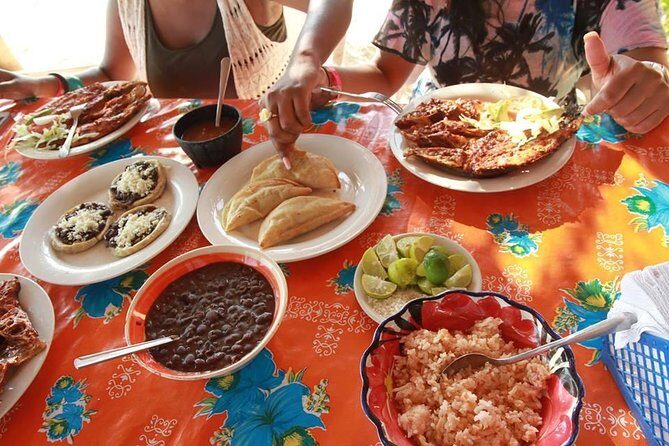 Coyuca Lagoon Countryside Baby Turtle Release Lunch & Boat Ride - FAQ