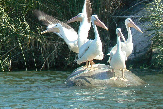 Coyuca Lagoon From Acapulco - Final Thoughts