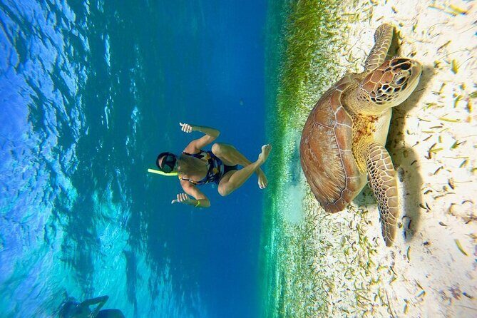 Cozumel 4 Hour Boat Sky Tour - Practical Tips for Travelers