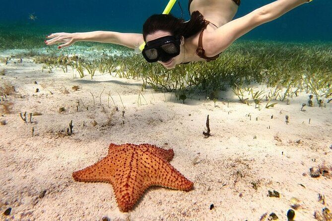 Cozumel 4 Hour Boat Sky Tour - Who Is This Tour Best For?