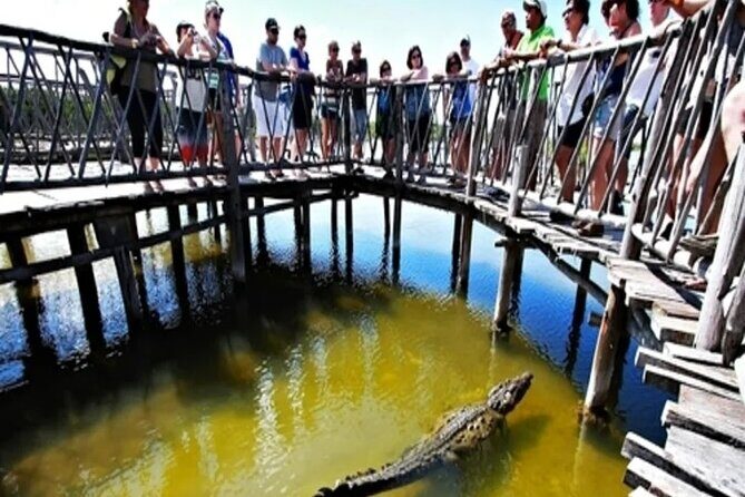 Cozumel 4x4 Adventure Punta Sur and Virgin Beach All Inclusive - Virgin Beach: A Private Slice of Paradise
