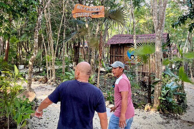 Cozumel: Bee Farm + Honey & Chocolate Tasting + Sightseeing - What to Expect from this Cozumel Tour