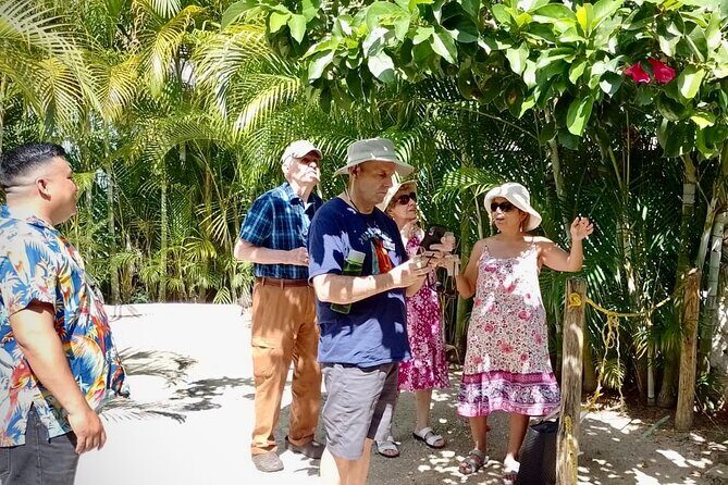 Cozumel: Bee Farm + Honey & Chocolate Tasting + Sightseeing - Final Thoughts: Is It Worth It?