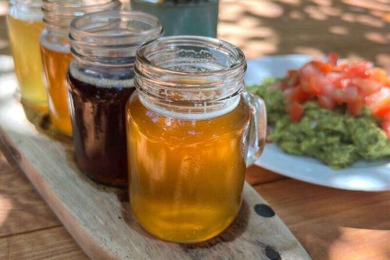 Cozumel: Beer, Mezcal, and Taco Experience - What the Tour Includes & What Not