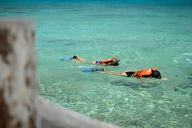 Cozumel Buggy Tour - The Sum Up