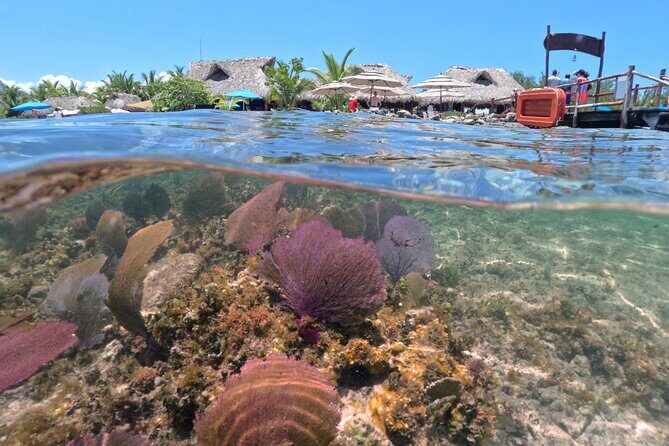 Cozumel Buggy Tour - FAQ