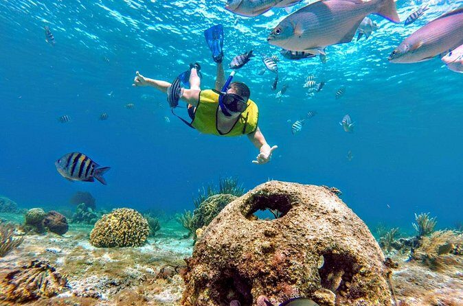 Cozumel by transparent boat and snorkeling in the sky with lunch. - FAQ