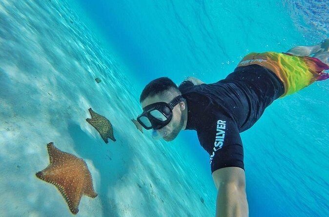 Cozumel by transparent boat and snorkeling in the sky with lunch. - Final Remarks