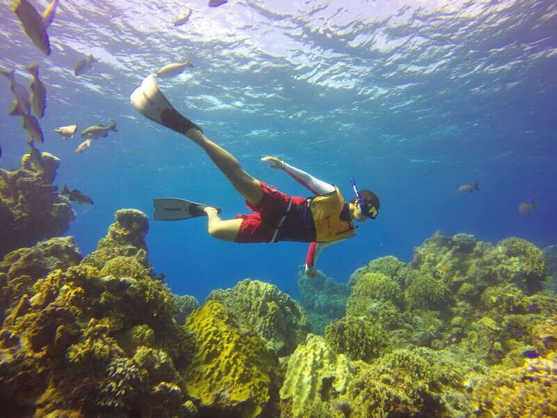 Cozumel: Catamaran, El Cielo Bay & Palancar Reef with Lunch - Who Should Consider This Tour?