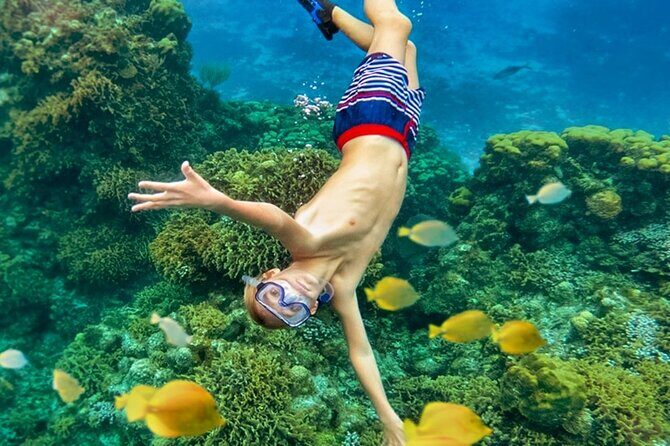 Cozumel Catamaran Experience with Snorkeling & Beach Club - The Itinerary: What to Expect on the Day