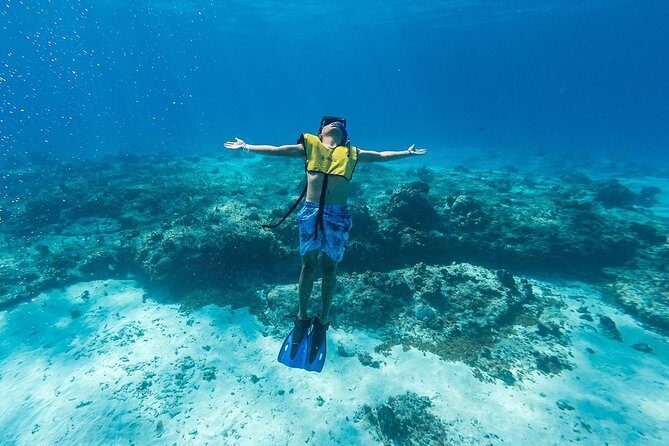 Cozumel Catamaran Snorkeling Tour & Lunch (Hotel Pick Up) - The Itinerary: What to Expect from Start to Finish