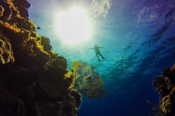 Cozumel Catamaran Snorkeling Tour & Lunch (Hotel Pick Up) - Frequently Asked Questions