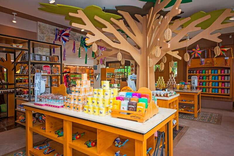 Cozumel: Chocolate Workshop at The Mayan Cacao Company - The Sum Up: Who Should Book This?